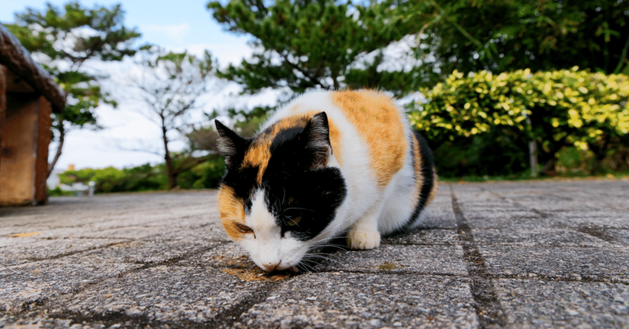 仕事はつまらなくて当たり前｜Rumi Kusunoki