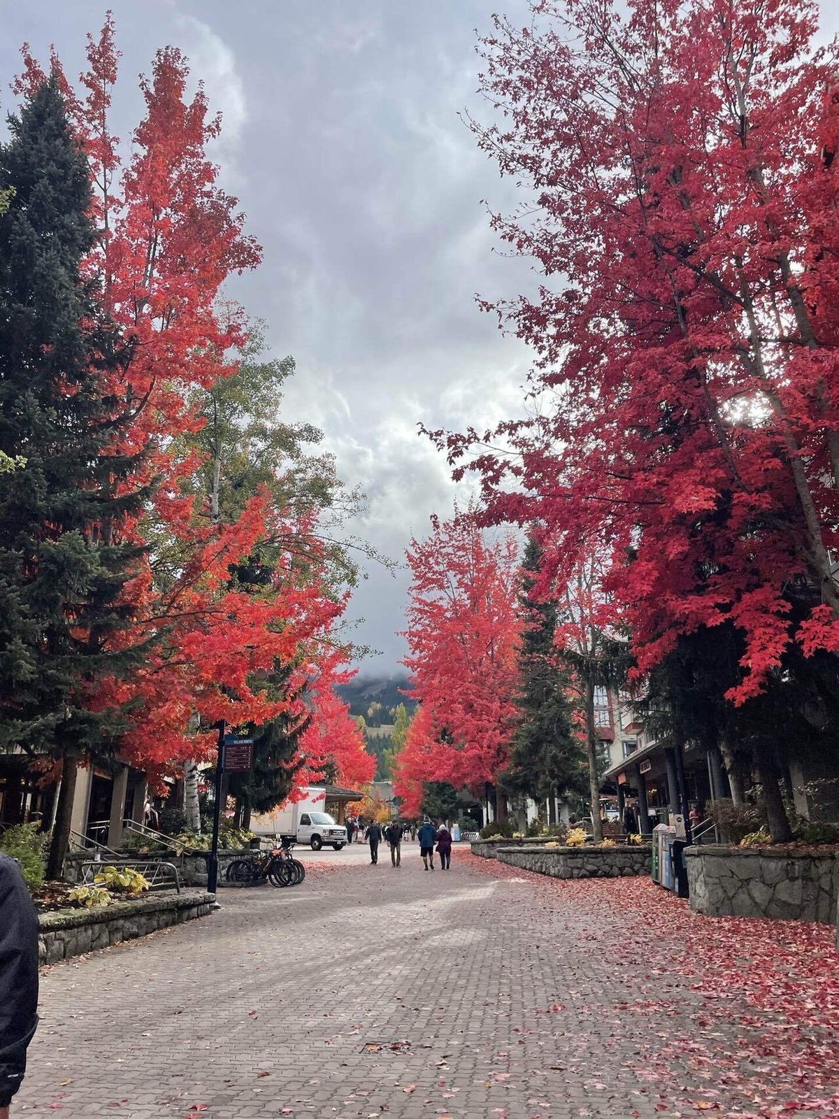 『ウィスラー（カナダ）』 世界一周Day0.5｜KOKIの世界一周ひとり旅