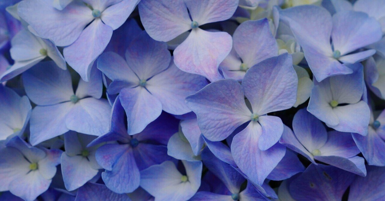 #109. 自分の中の、細胞たちが喜んでいる。｜ikumi