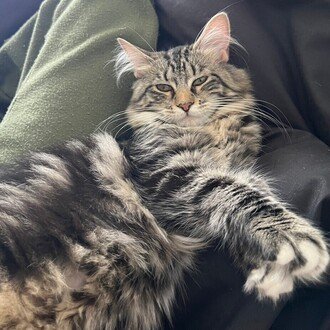 今尾杏(Imao Kyo)@文章で生きたい｜note