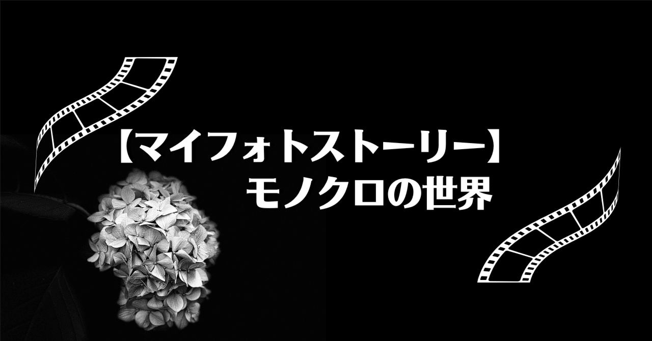 【マイフォトストーリー】モノクロの世界｜yossy_0712e