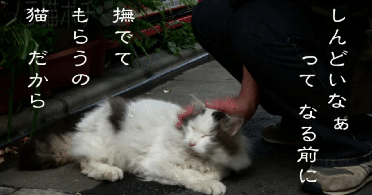 内視鏡検査の結果と検診の大切さ｜unitason