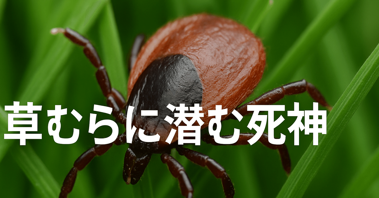 🕷️『その草むらに、死のリスク──SFTSから身を守るマダニ対策のすべて』｜Toshi