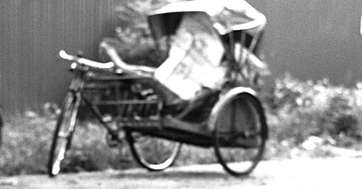 「With The Dogs」 相棒｜Rabi Sato