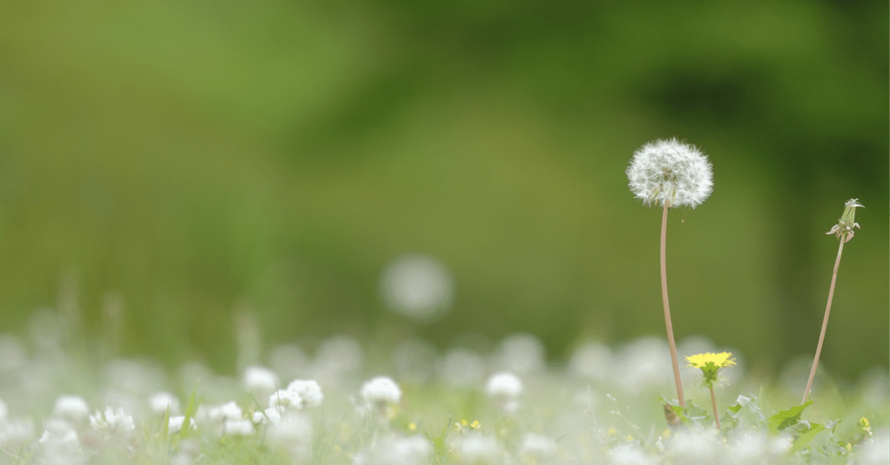 つまずいても大丈夫。ここはあなたのための静かな休憩所です。｜tone_nagi