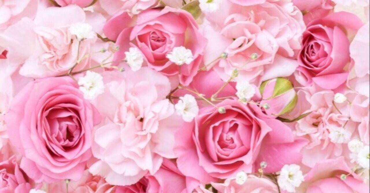 紅茶 紅茶と世界(19) ISOとは何か？(3) ISO 3720：紅茶の定義とは？ふつうの「茶葉」との違い｜森のくま