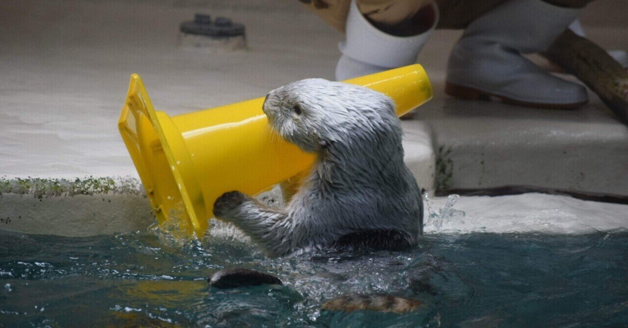 鳥羽水族館｜hatahata_dayo