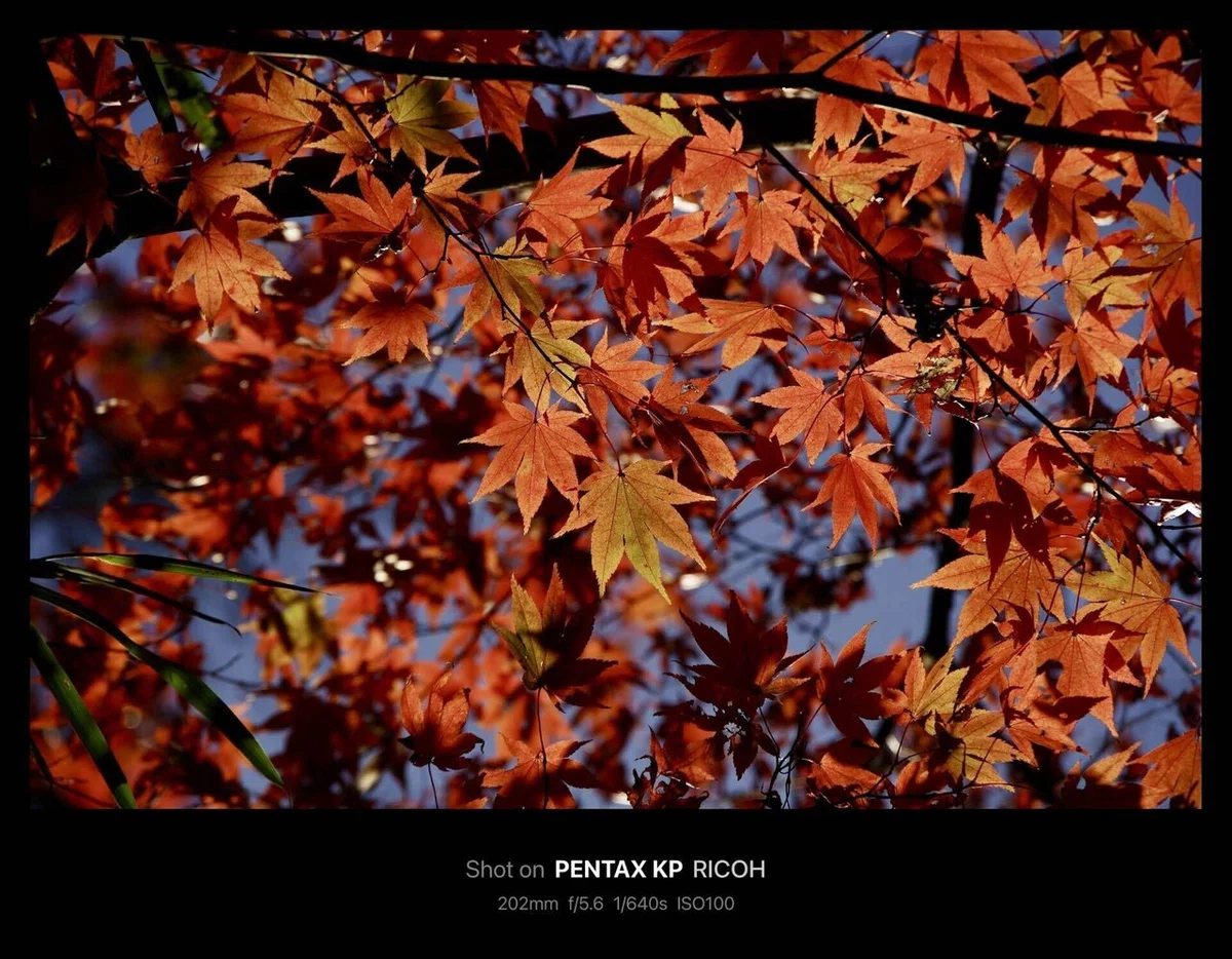 天覧山 / Mt. Tenran(Saitama, Japan)｜N.Hagimoto