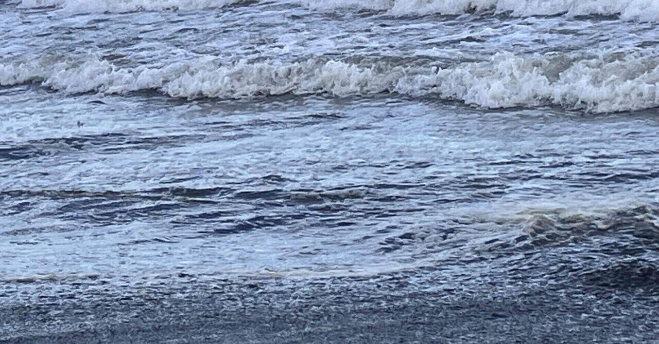 20250626 日記｜risi