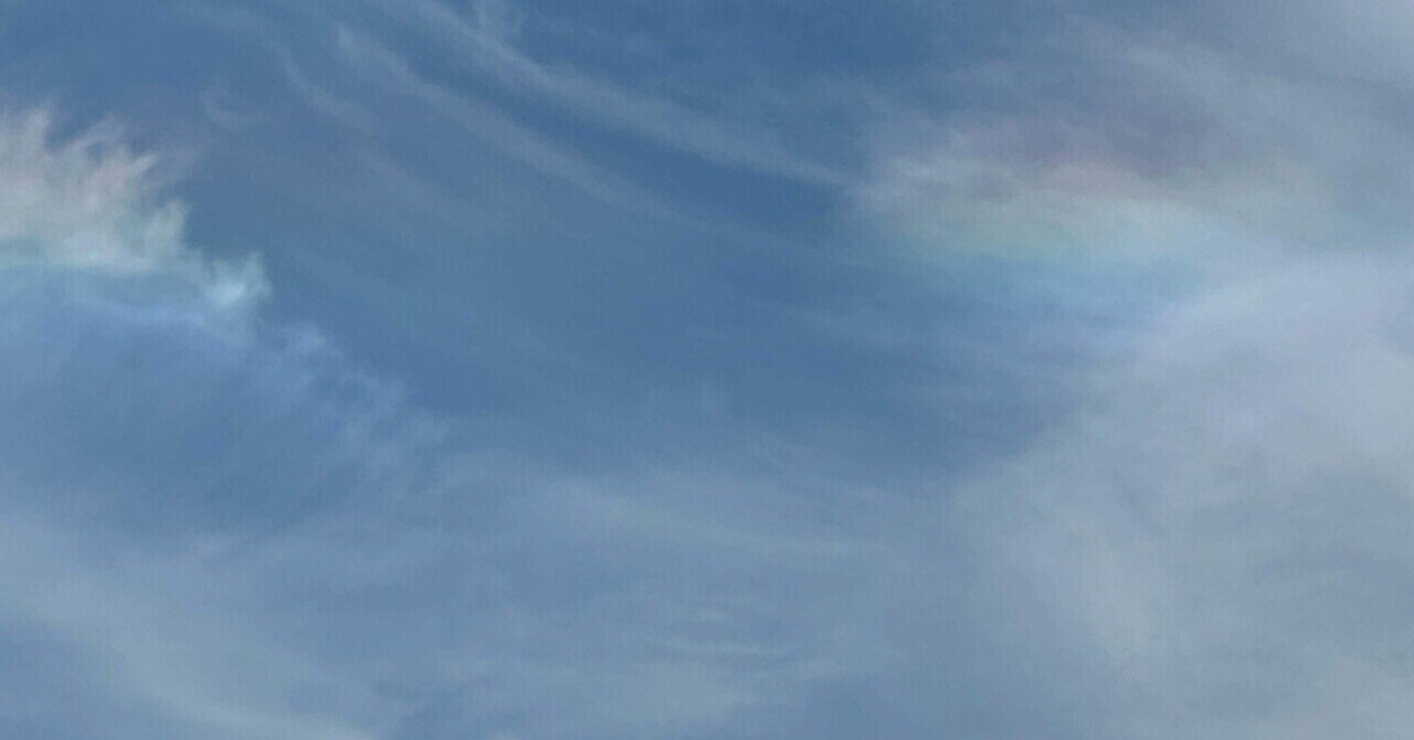 ハッピーバースデー。｜hanaco-ta