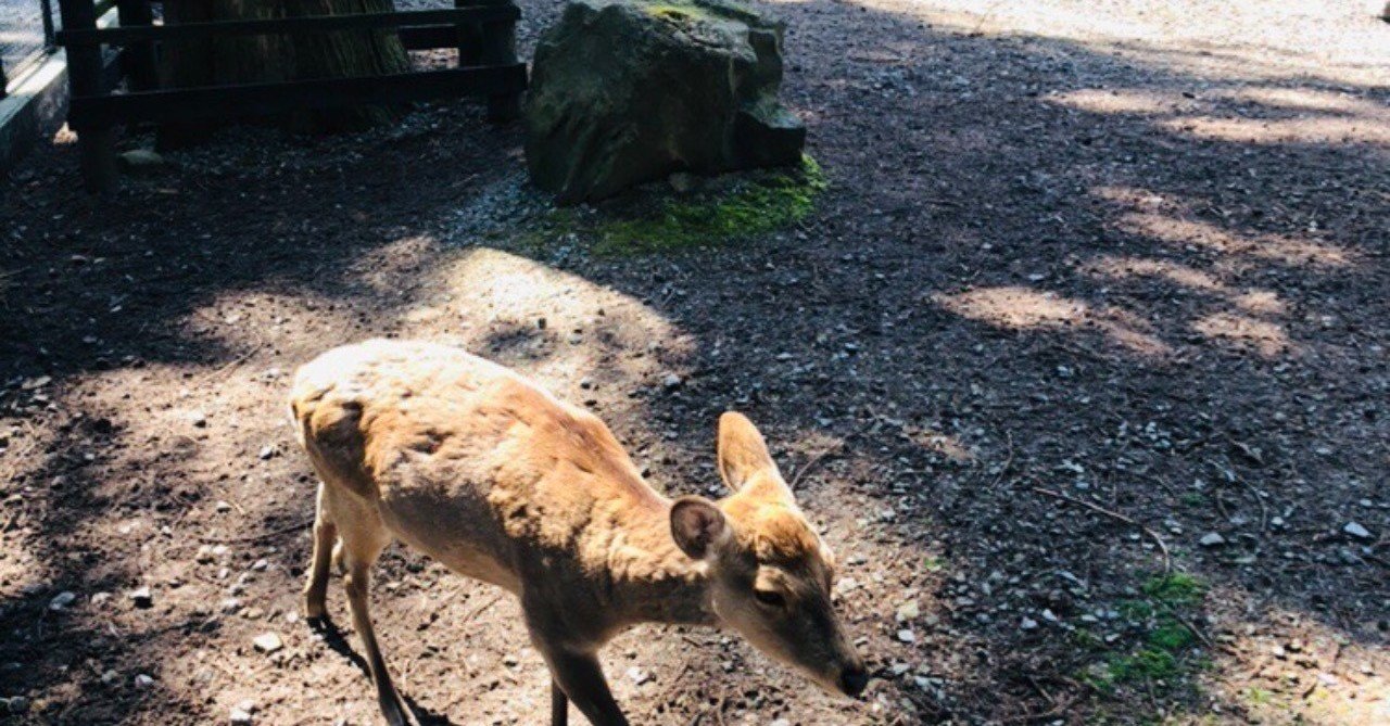 The strongest principle of growth lies in the human choice.｜kr