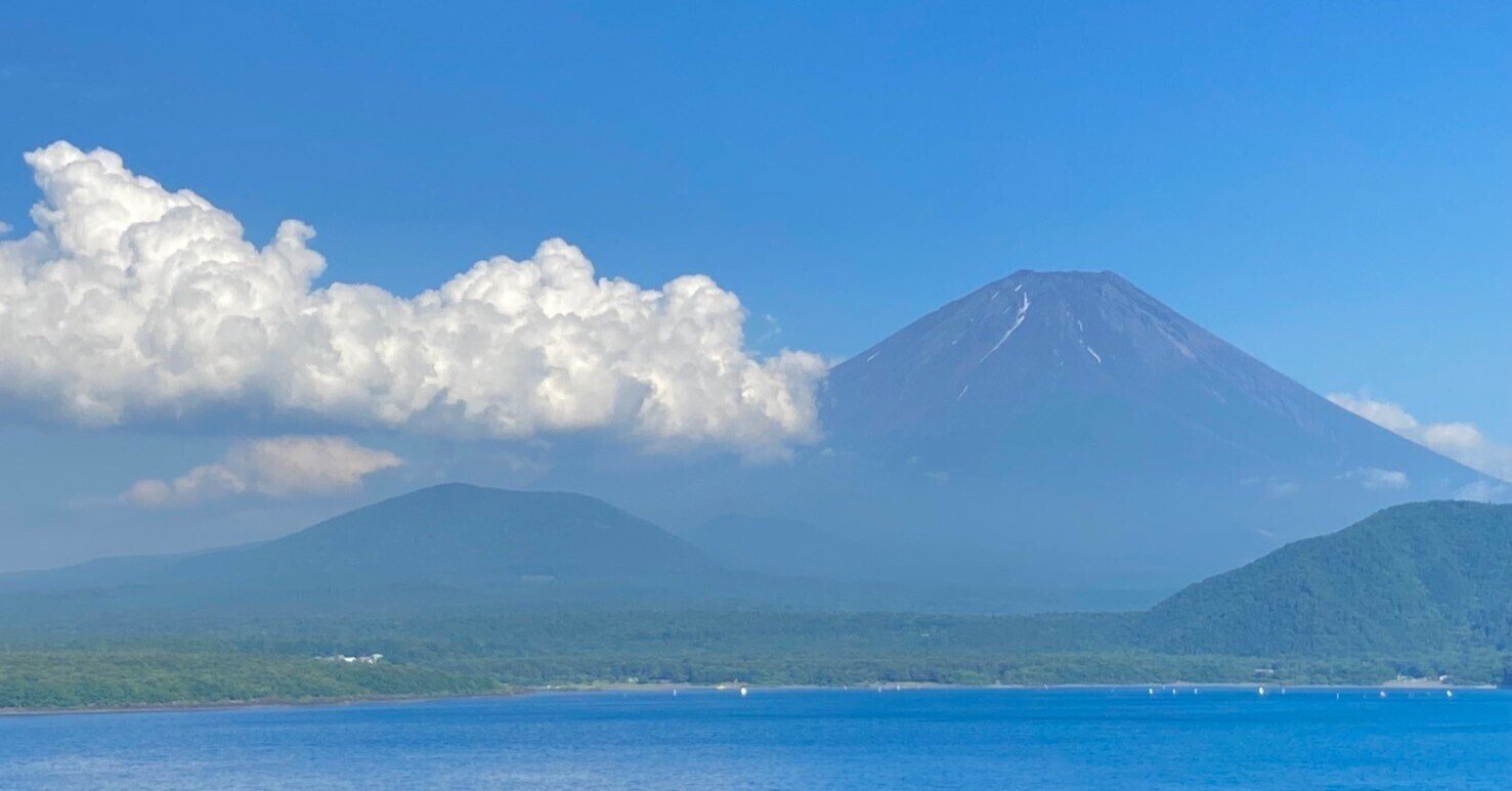 落ち葉🍃｜note