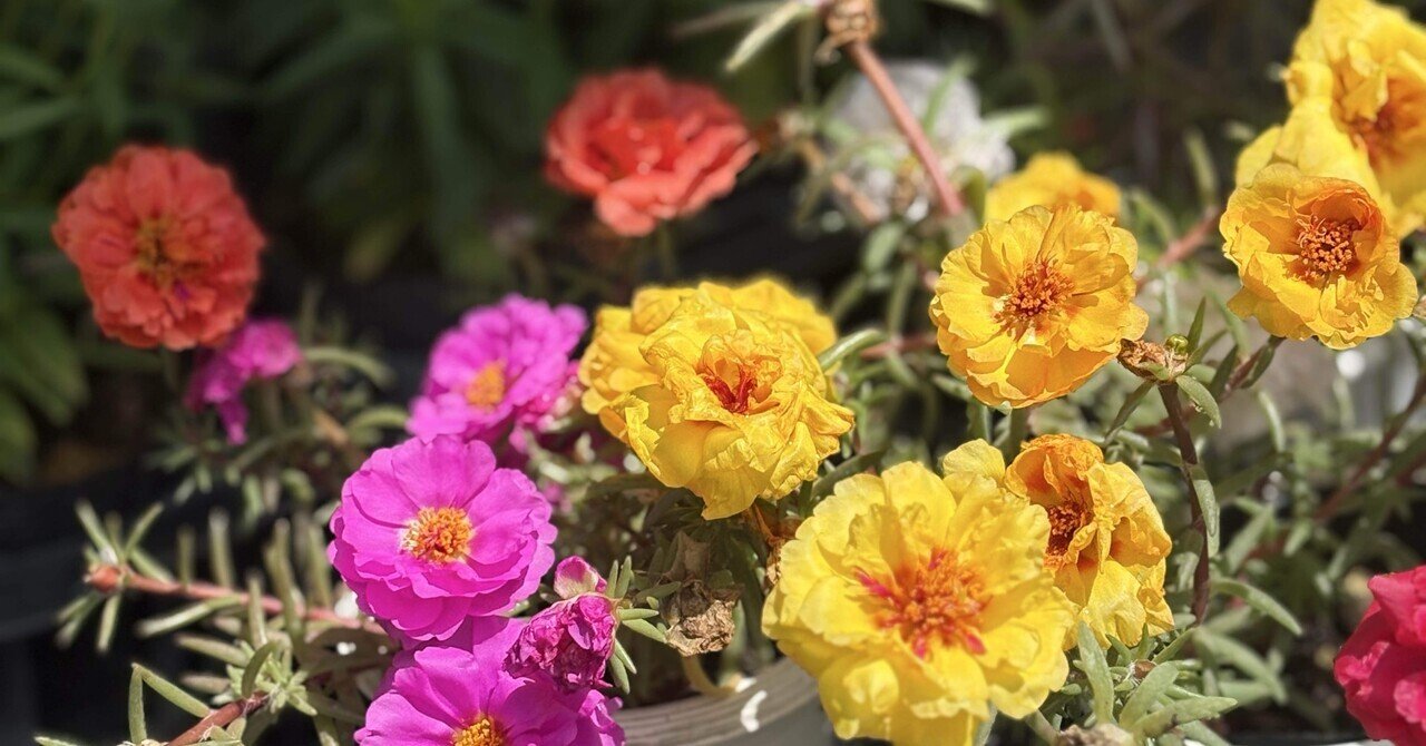 power｜SAyA-kibaco-