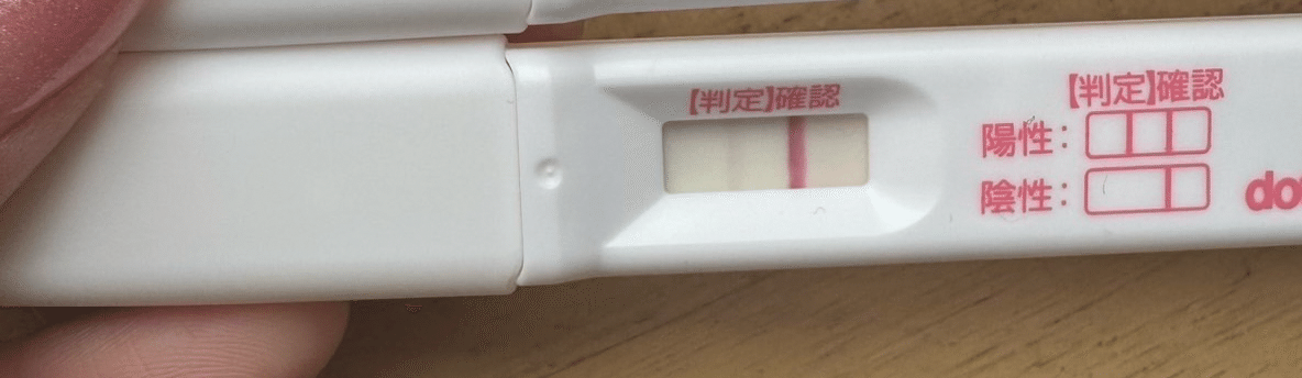 【KLC凍結胚移植】判定日前日フライング写真公開！前回不発のBT5, BT9と、今回のBT6フライングの検査薬結果写真📸｜Fire | 38歳1年の不妊治療を経て妊娠。現在妊娠6ヶ月