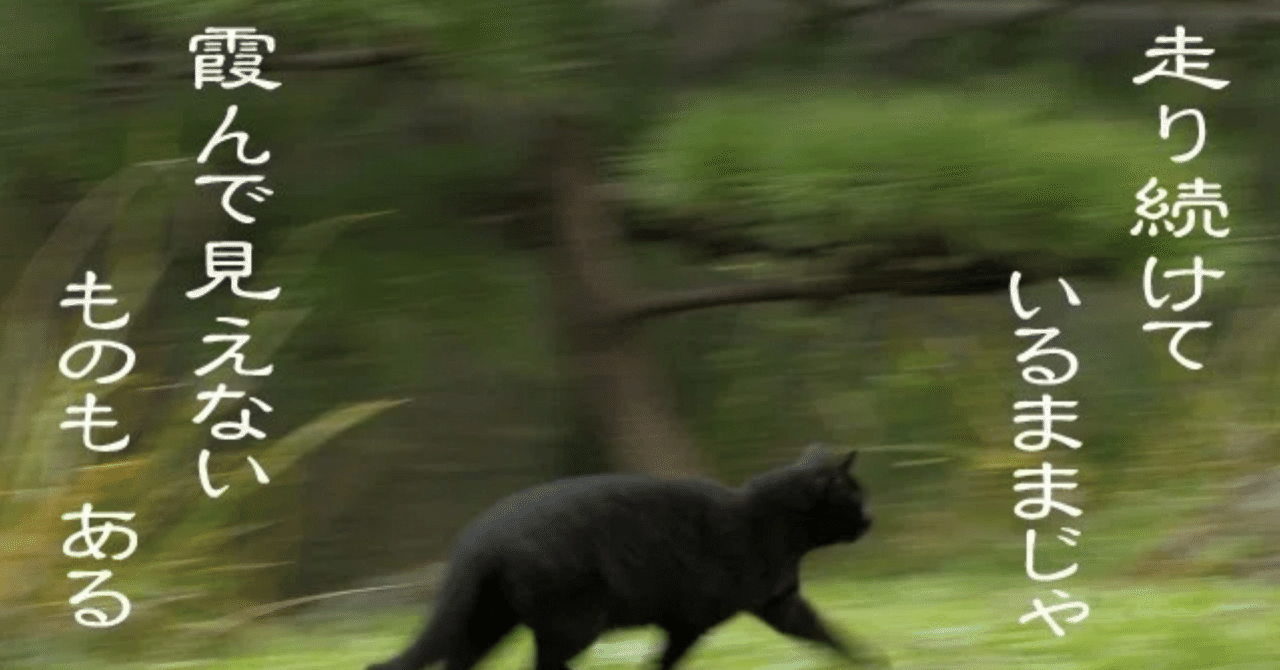 一日中家で過ごした件｜unitason