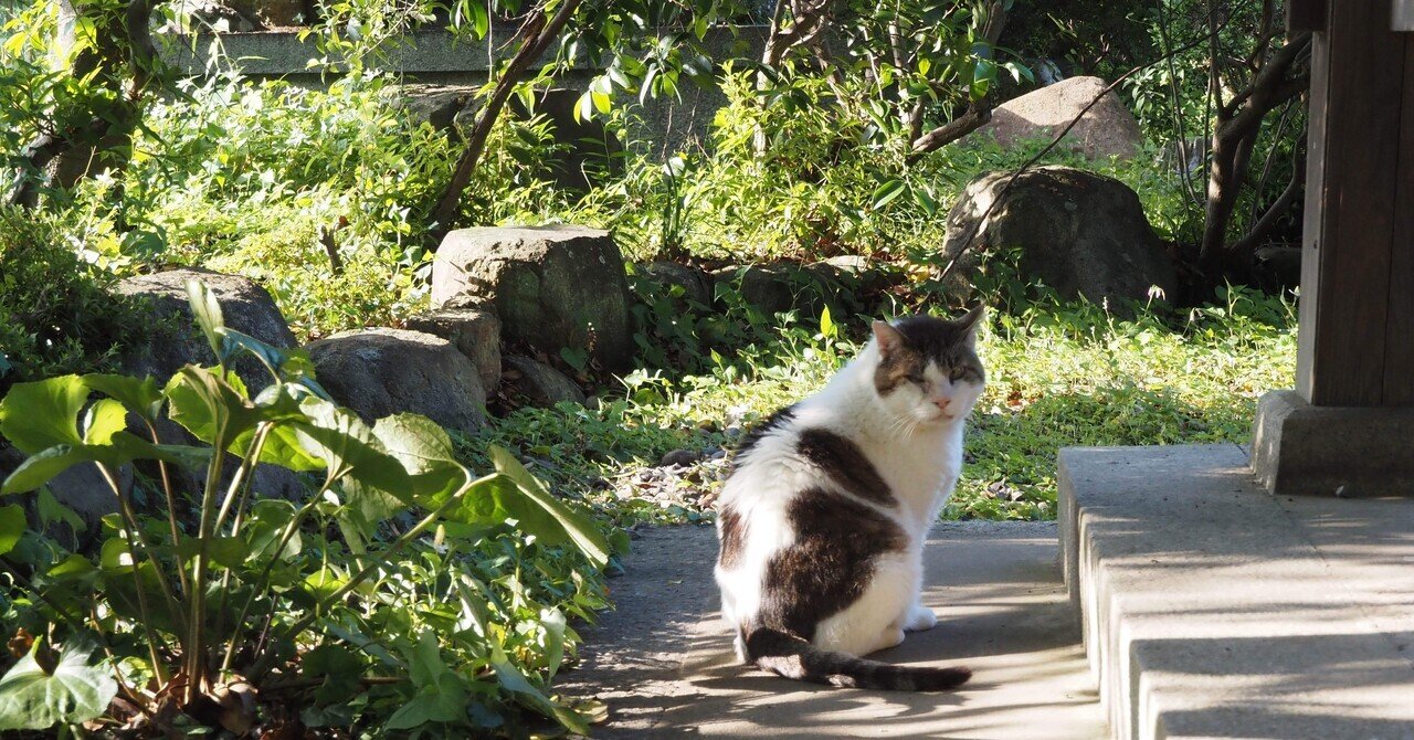 写真log 2025.5.31｜yuzuo