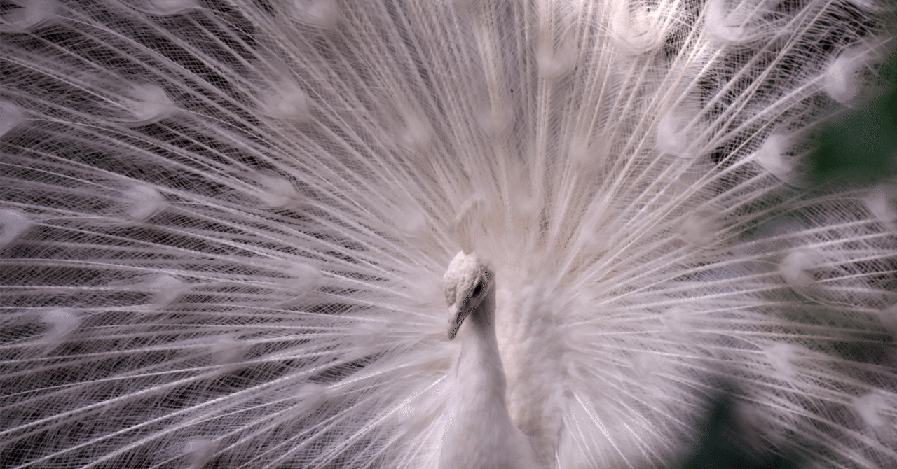 そんなnoteに惚れました｜deepblue