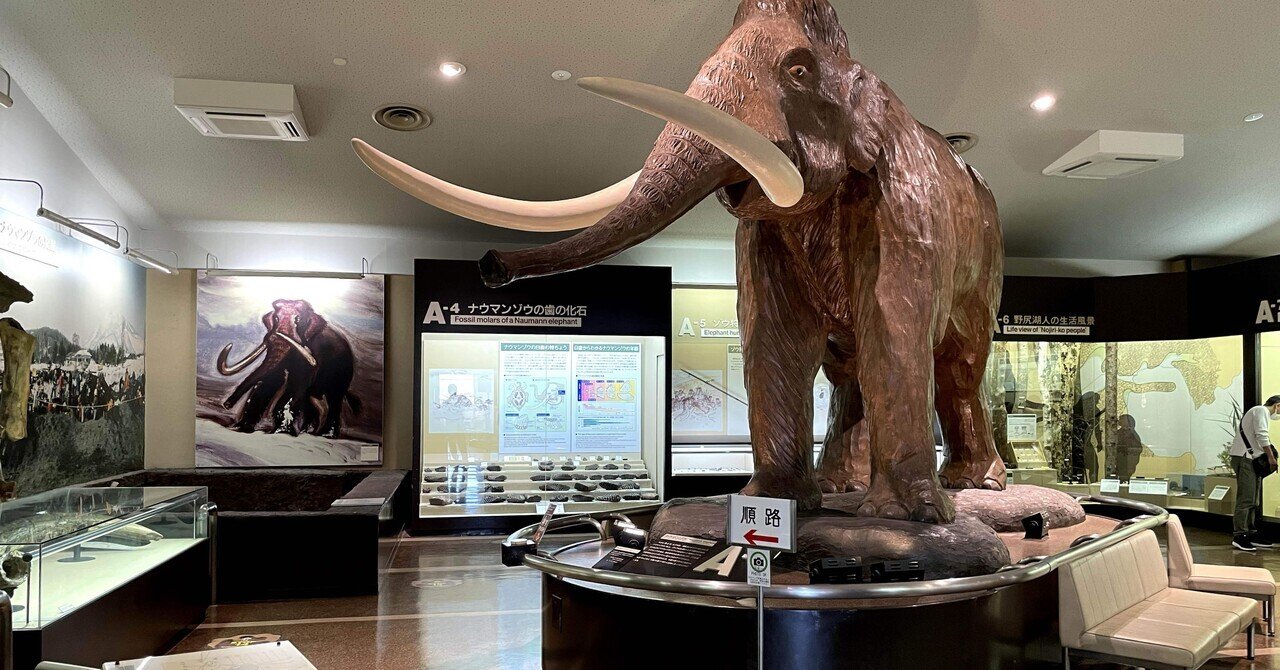 野尻湖ナウマンゾウ博物館 / Nojiriko Naumann Elephant Museum(Nagano, Japan)｜N.Hagimoto
