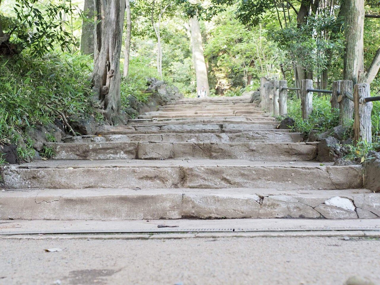 言葉は、届くまでに時間がかかることがある。 すぐに理解されなくても、あとからそっと「あぁ、あの時の言葉はそういう事だったのか」と染み込んでいく ...