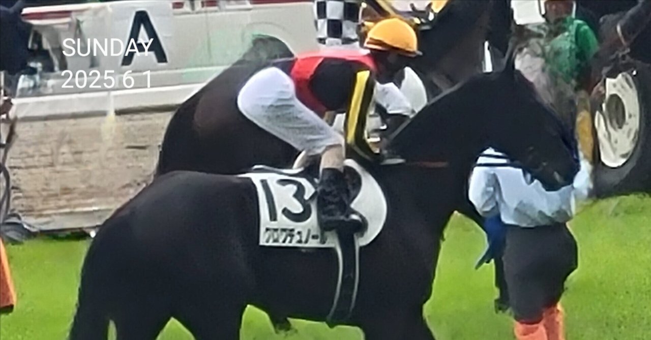 2-3-14的中🎯帝王賞 Jpn1 地方競馬 大井競馬予想 2025/7/2｜ひまわり厨#フォロバ100％