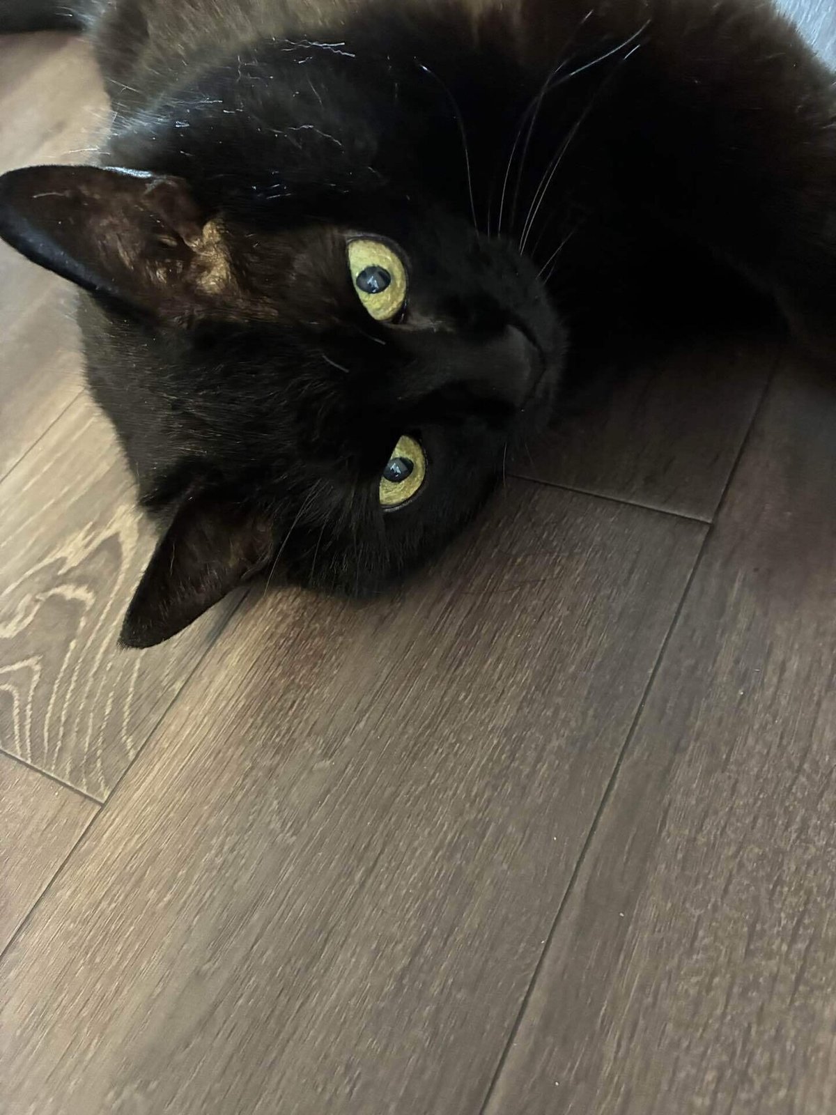 正論について思ったこと｜unitason