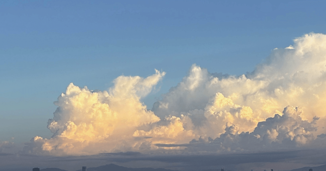 メタプラネット×EVO Fund スキーム完全解説書｜hanikuro