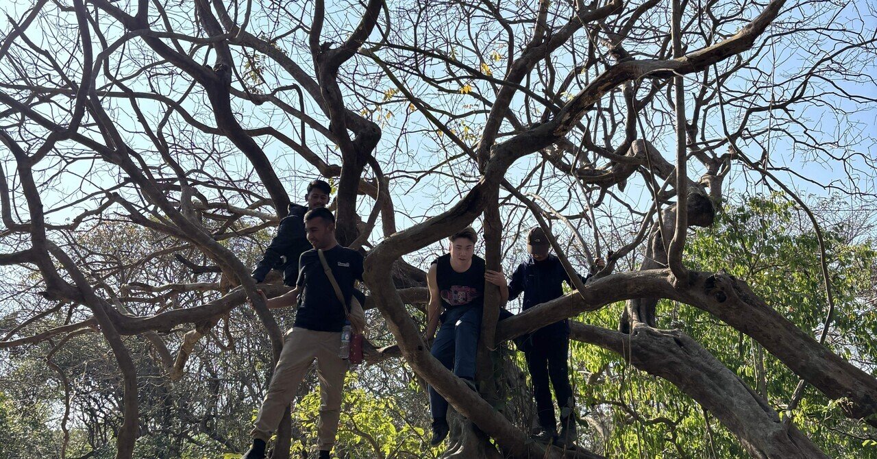 首都ダッカだけじゃないバングラデッシュ（シレットPart 2)｜亜熱帯地域のペンギン(Ayano in Dhaka)