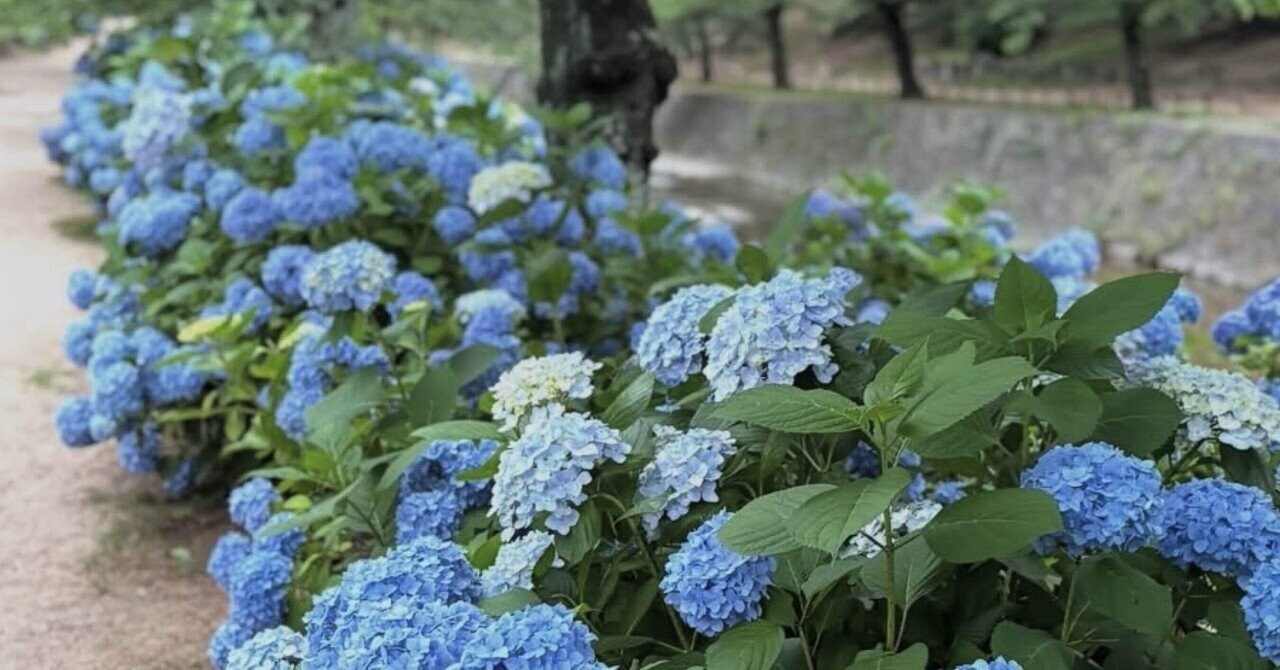 fly me to the moon(アナライズ方法)｜ka28