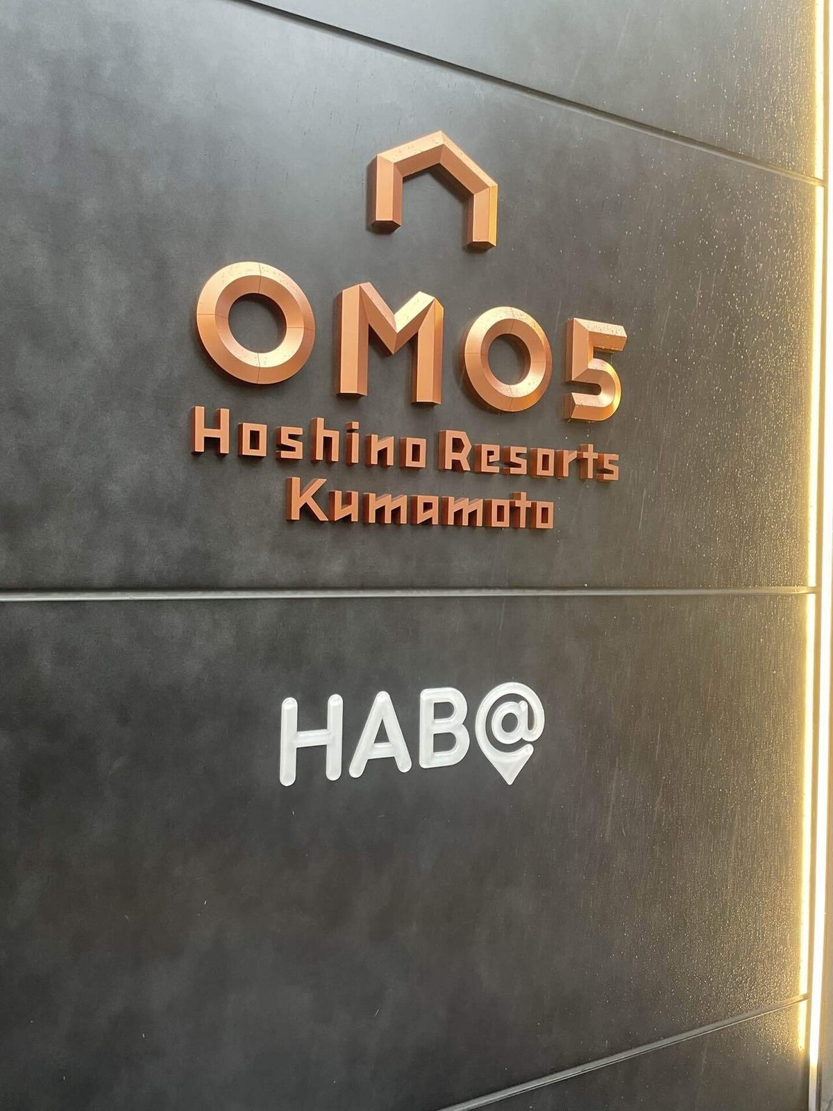 37回目の結婚記念日③雨の熊本城は復興中｜あつこ (64) フワフワ文系妻 定年理科系夫 育て中