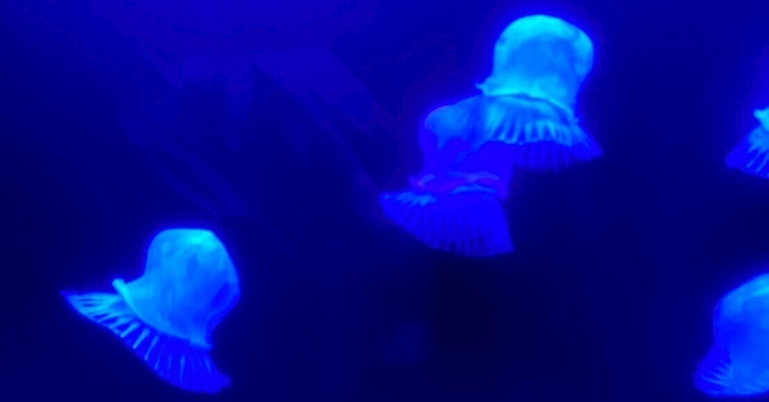 sanami＠デジタルコンテンツ販売｜note