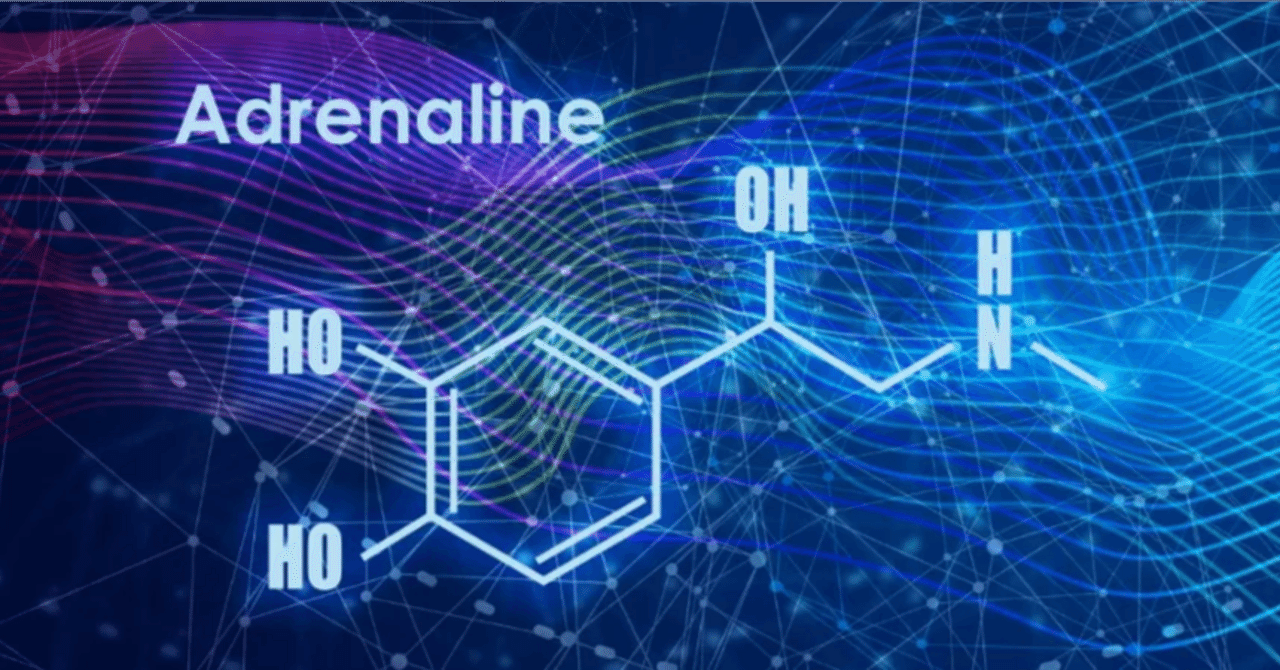 【カテコールアミンが勝敗を決める】 −アドレナリンと集中の科学−｜續池均（kintsuzuike）@MTR Method Lab®︎