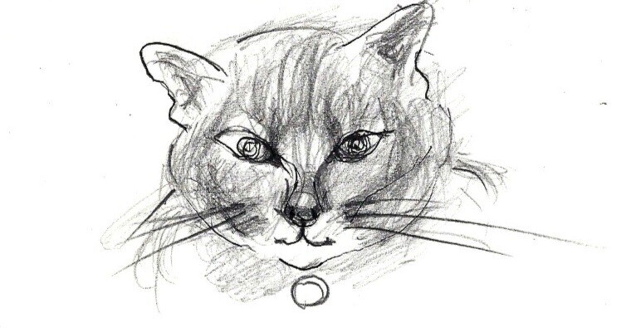 猫の一言 ニャン！｜仁吾巴 妍 niaha ken