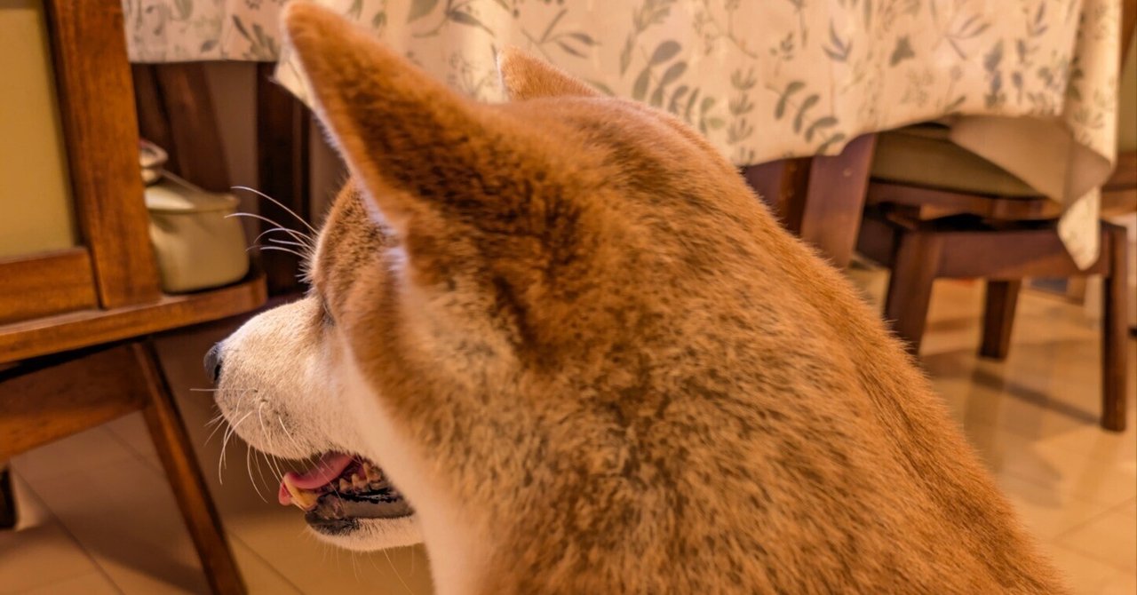 柴スマイル！｜Akihiko Oosugi