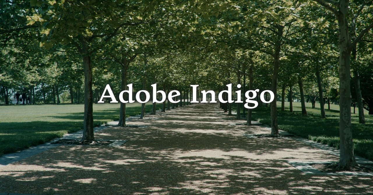 Adobe の新しいカメラアプリ Indigo を使ってみた｜たなぱんだ