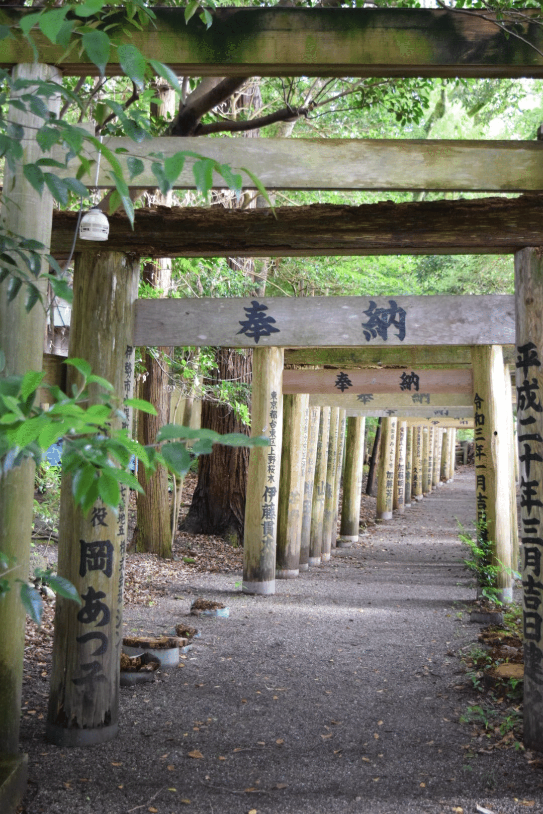 伊勢神宮｜hatahata_dayo