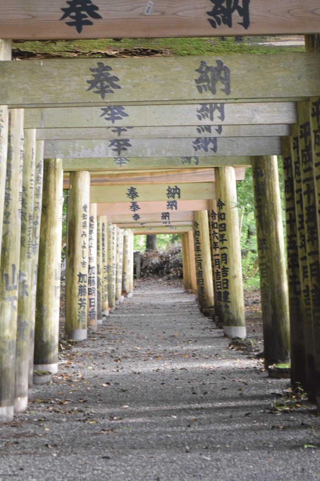 伊勢神宮｜hatahata_dayo