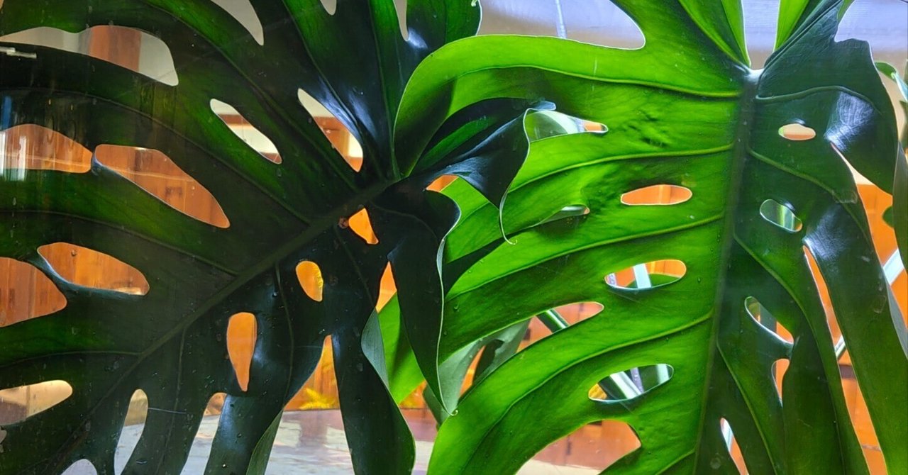 ラッパーと神｜eri sakamoto