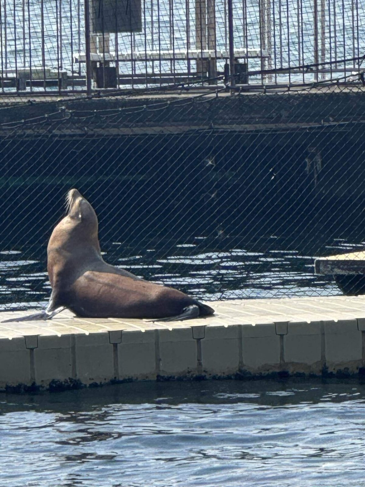 第93回全日本自転車競技選手権大会 ロードレース ME DNF｜髙村明希斗