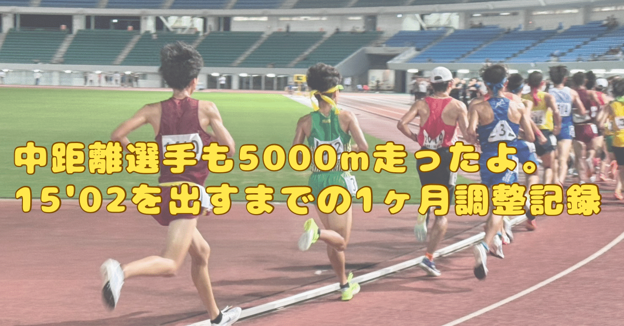 🏃‍♂️【5000m 15分02秒】800m・1500mメインの僕がやった3つの調整法｜中距離選手のための持久力強化ステップ｜TAKAHAPI/現役教師ランナー