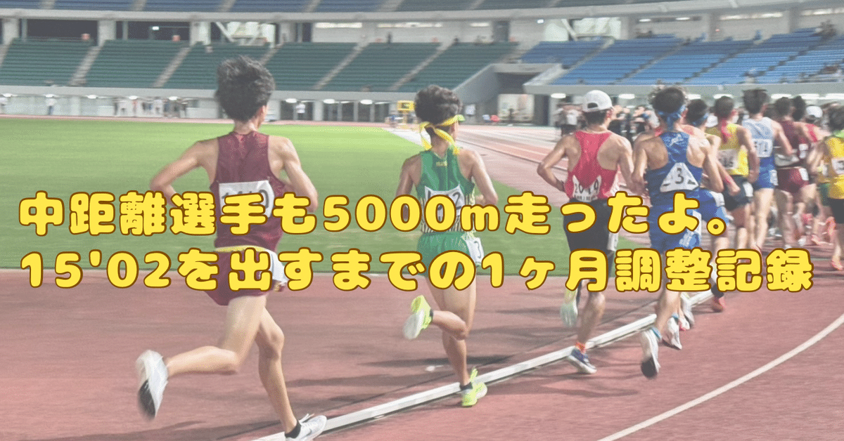 🏃‍♂️【5000m 15分02秒】800m・1500mメインの僕がやった3つの調整法｜中距離選手のための持久力強化ステップ｜TAKAHAPI