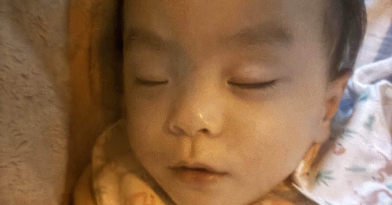 417.親愛なる息子へ｜Dearson