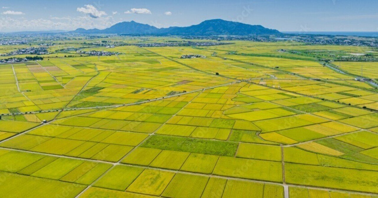 にいがた再訪1（ラムサール国際湿地都市、市民大学講義）｜古沢広祐（Furusawa Koyu）