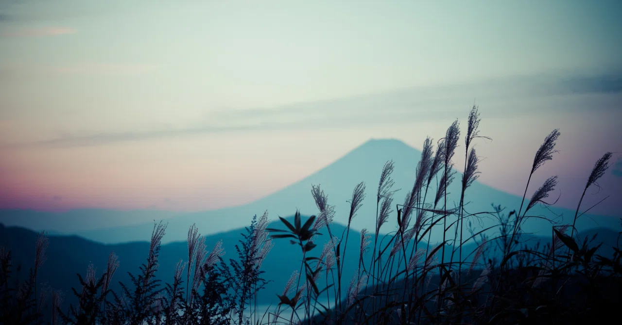 調和性（Harmony）の資質とは？｜toyosan
