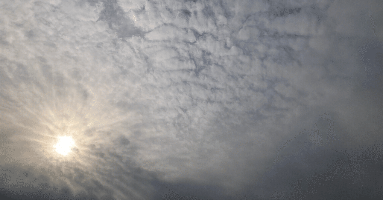 連続小説【私の取材記・10】｜T.Koji