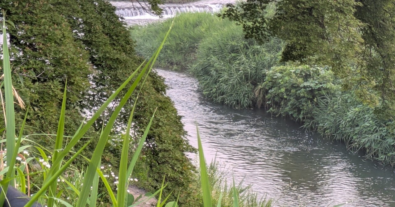 第4巻歌番号601番 歌/作者 笠郎女(笠女郎)｜ichiro70