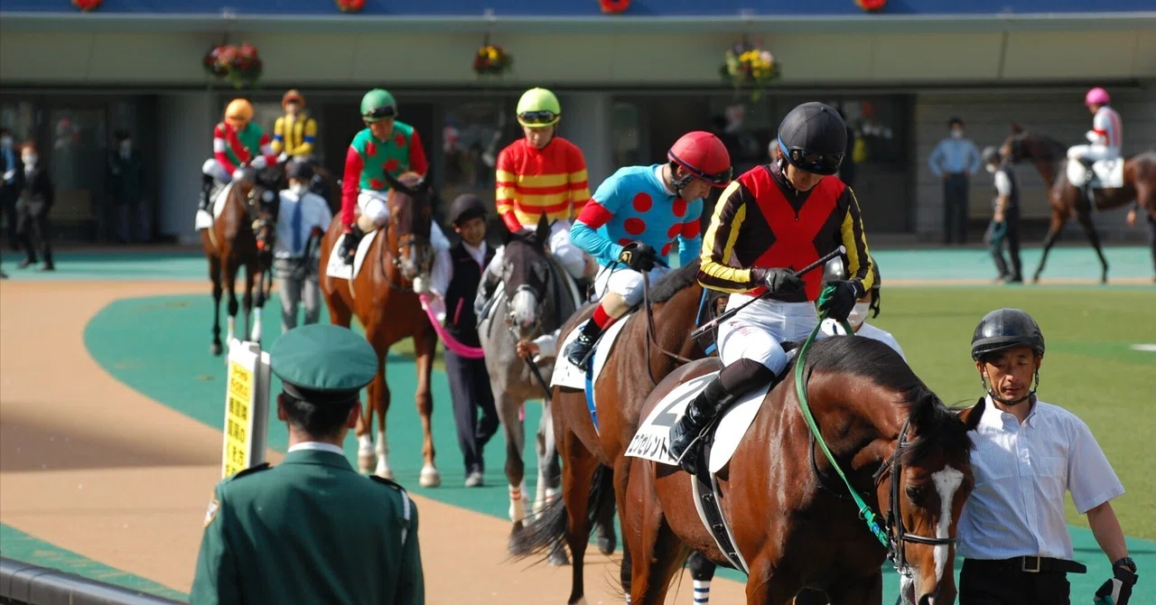 ユニオンオーナーズクラブ 2025募集馬(2024年産)AI馬体診断｜Koji Maeda