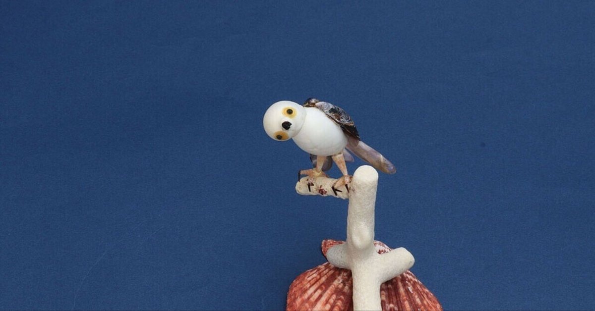 「ピグミーファルコン」｜zoo_shell