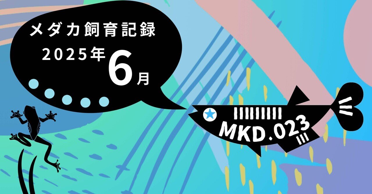 メダカ飼育記録 2025年6月｜MKD.023