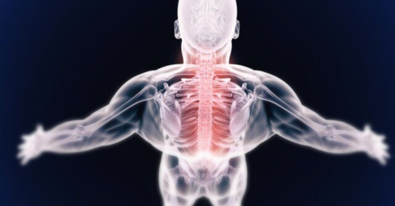 痛みは常に個人的｜Naoki Takakura 高倉 直樹