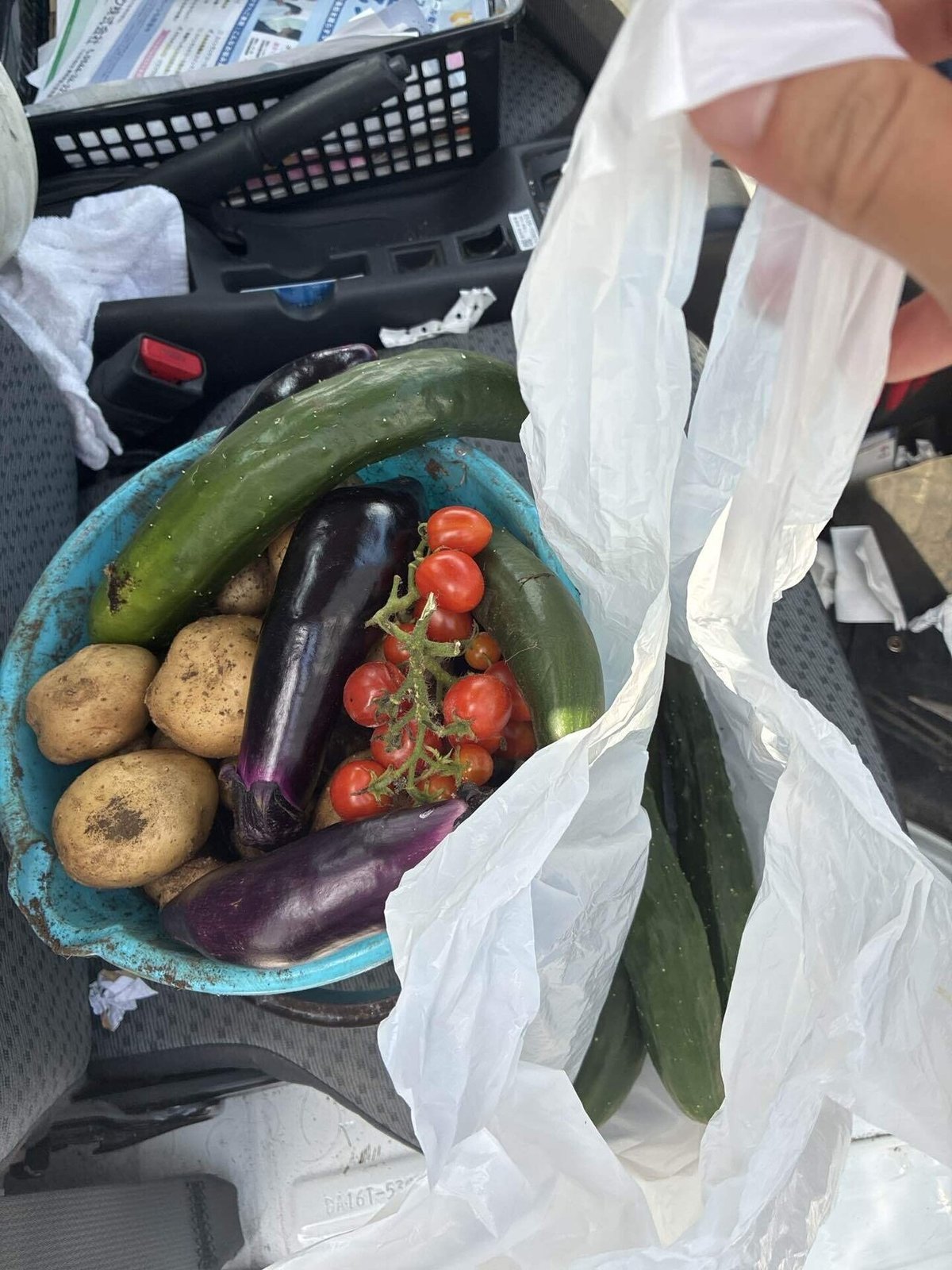 ナスとピーマンの煮浸し｜kazu